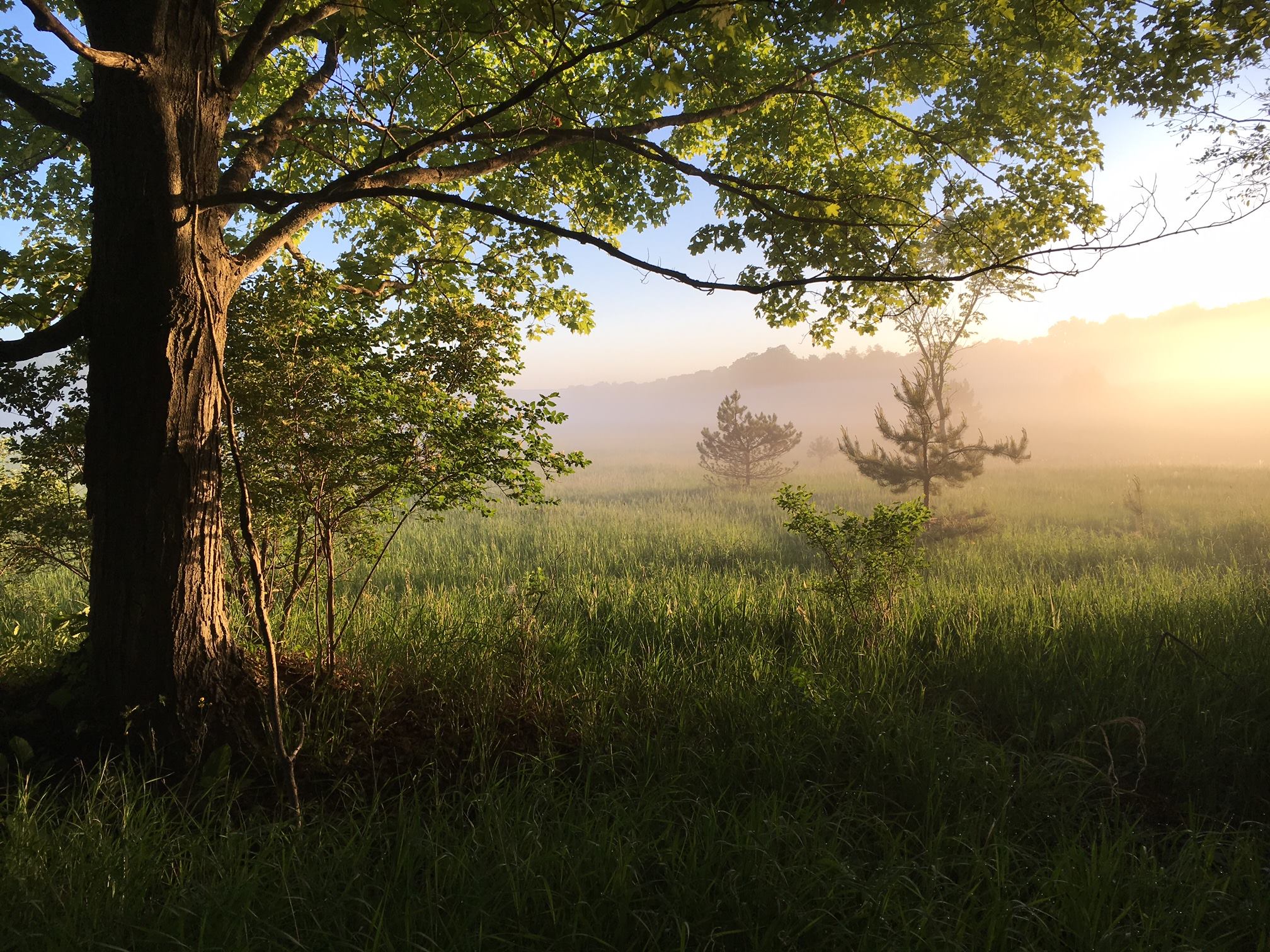 Photo Gallery – All Photos by Timothy Young. – Timothy Fitzgerald Young